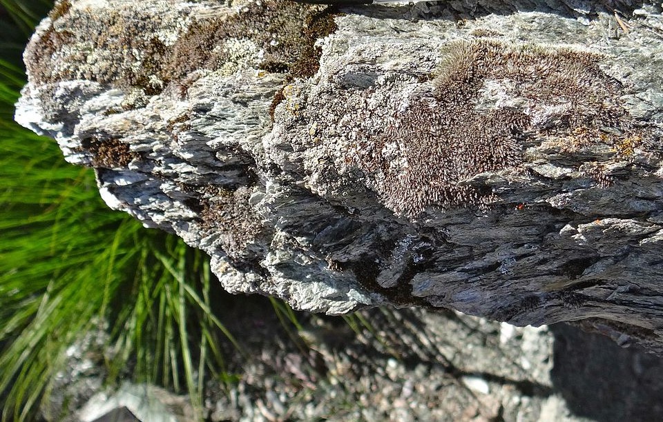 diagnostics | Radon | Amiante